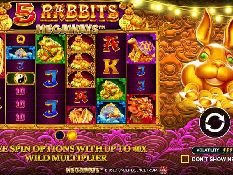 5 Rabbits Megaways (Pragmatic Play) | Jouer Gratuitement